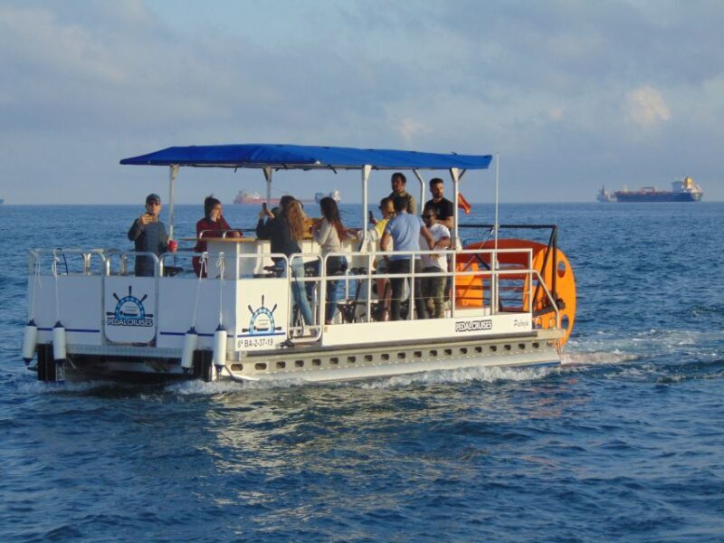 Barcelona: 1.5-Hour Private Scenic Pedal Boat Tour - Who Will Enjoy This Tour?