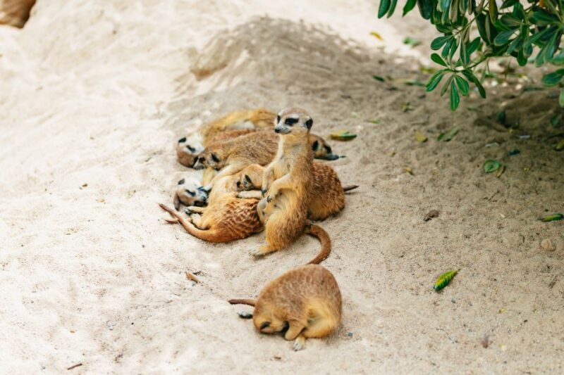 Barcelona: 1-Day Ticket to Barcelona Zoo - The Sum Up