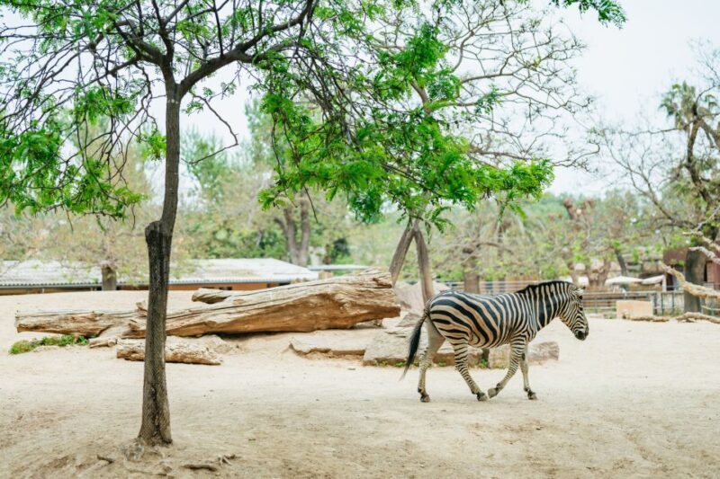 Barcelona: 1-Day Ticket to Barcelona Zoo - FAQs