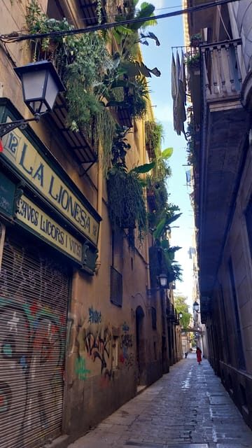 Barcelona 101 Walking Tour: All Highlights in One Day - The Value of the Tour