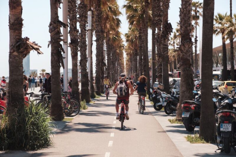 Barcelona: 3-Hour Bike Tour with a Local Guide - Insights from Reviews: What Future Riders Will Appreciate