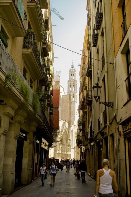 Barcelona: 4-hour Private Guided Walking Tour - A Deep Dive into the Experience