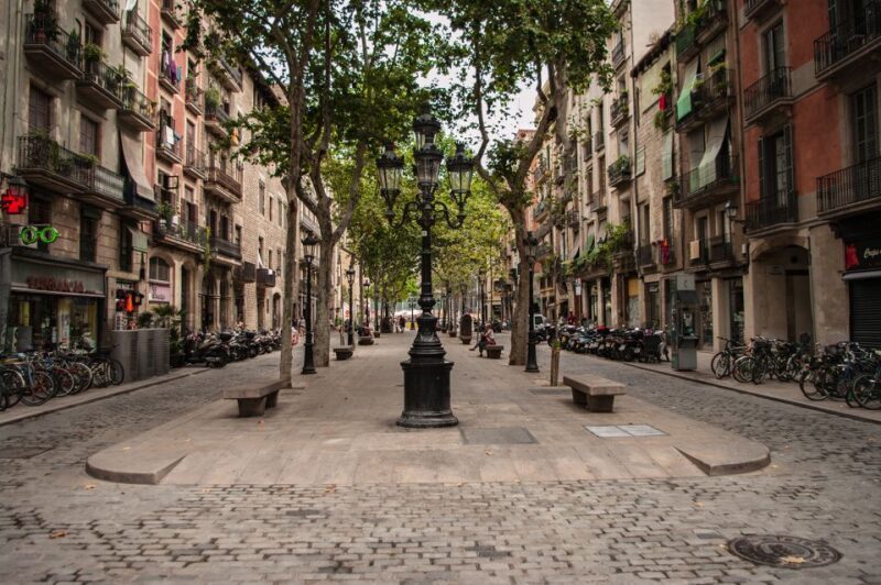 Barcelona: 4-Hour Private Picasso Museum & Walking Tour - Walking in El Born: A Charming Neighborhood