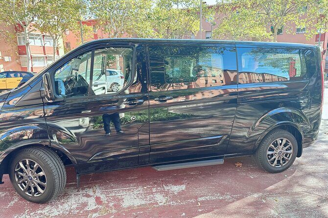 Barcelona Airport to Cruise Port Private Transfer - Flexibility and Additional Services
