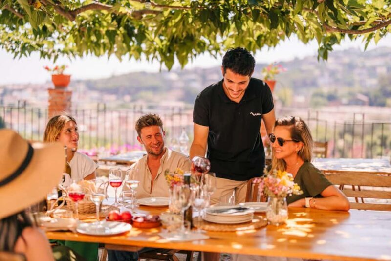 Barcelona: Alella Wine Tour with Tasting & Vineyard Picnic - Key Points