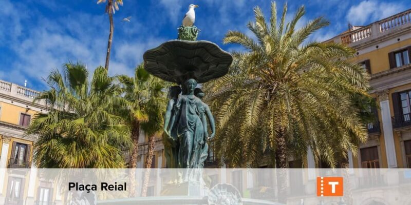 Barcelona: All-Inclusive City Card & Public Transport Option - The Sum Up: Who Will Love This Barcelona City Card?