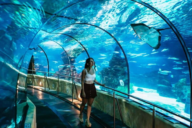 Barcelona Aquarium: Entry Ticket - Key Points