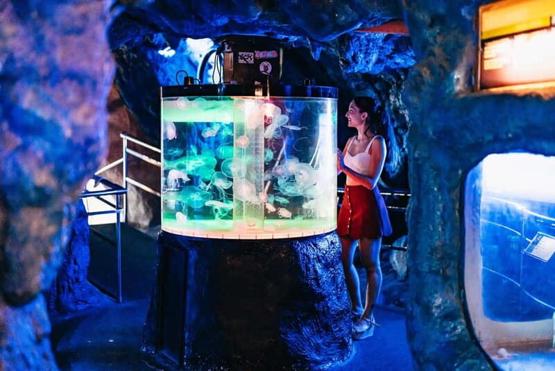 Barcelona Aquarium: Entry Ticket - Is It Worth the Cost?