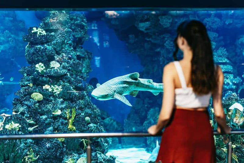 Barcelona Aquarium: Entry Ticket - Final Thoughts