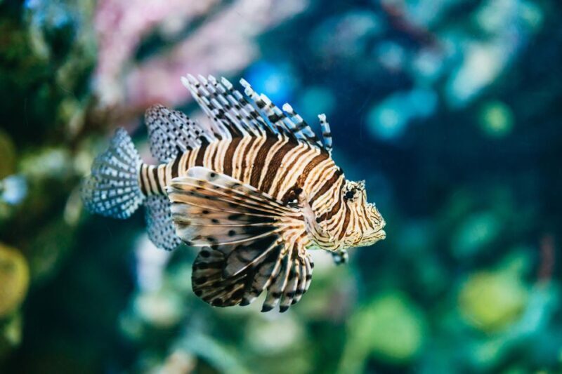 Barcelona Aquarium: Entry Ticket - FAQ