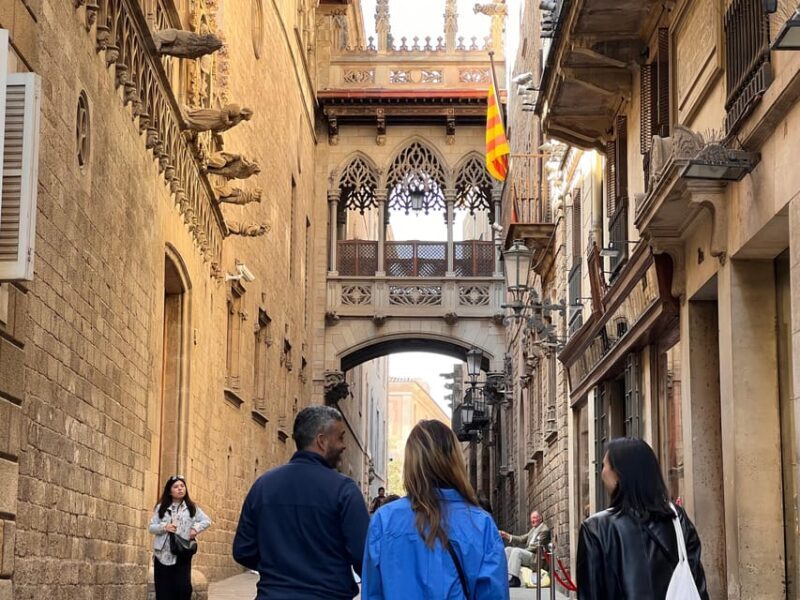 Barcelona: Barri Gotic Small Group Walking Tour - Why Choose the Barcelona Gothic Quarter Walking Tour?