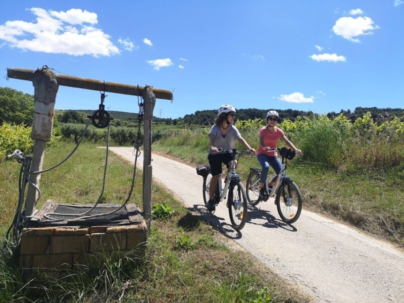 Barcelona: Bike & Wine Guided Tour - Penedès vineyards - Key Points
