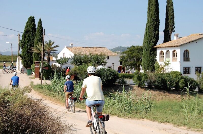 Barcelona: Bike & Wine Guided Tour - Penedès vineyards - Practical Considerations for Participants