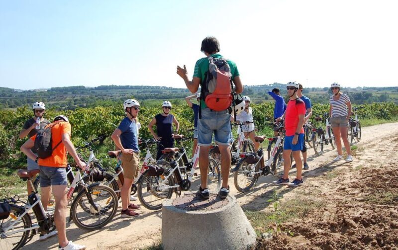 Barcelona: Bike & Wine Guided Tour - Penedès vineyards - Who Would Love This Tour?