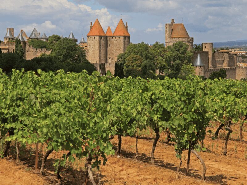 Barcelona: Carcassonne & Girona Tour - Exploring the "Barcelona: Carcassonne & Girona Tour": A Deep Dive