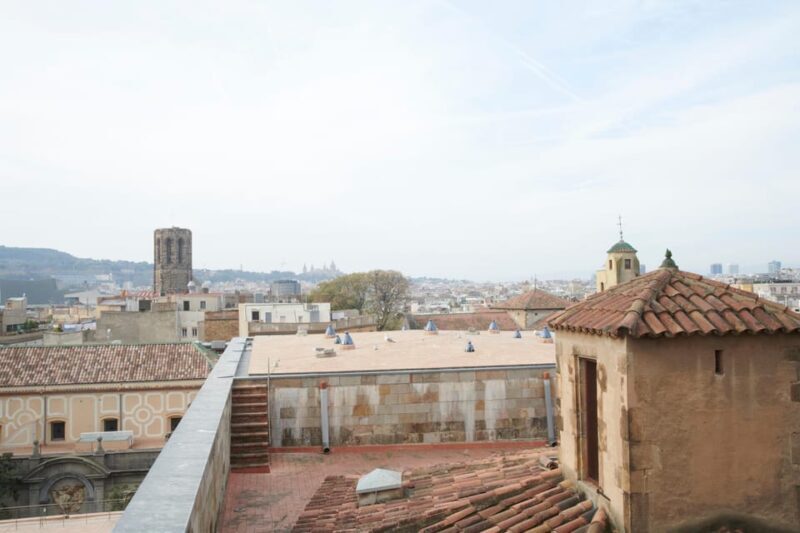 Barcelona Cathedral: Ticket, Guided Tour and VR Experience - The VR Experience and Terrace Access: Why They Matter