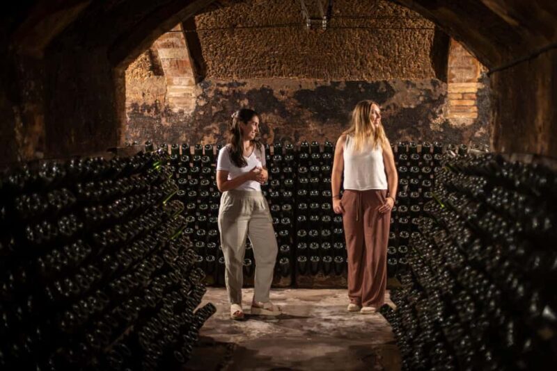 Barcelona: Cavas Hill - Winery Tour & Cheese Tasting - Exploring Cavas Hill: A Wine Lover’s Perspective