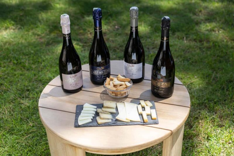 Barcelona: Cavas Hill - Winery Tour & Cheese Tasting - Touring the Historic Cellars