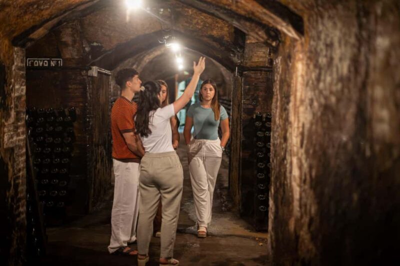 Barcelona: Cavas Hill - Winery Tour & Cheese Tasting - Experience Provider and Booking Flexibility