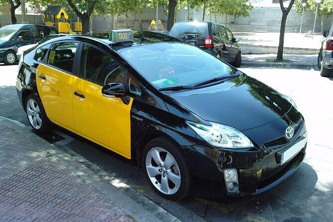 Barcelona city to/from Airport, cruise Port private Transfer - Service Quality and Real Traveler Feedback
