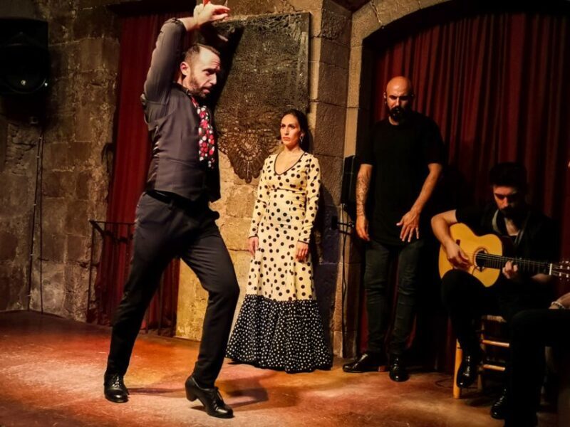Barcelona: City Tour & Flamenco Show with Wine & Tapas - Final Thoughts: Who Is This Tour Best For?