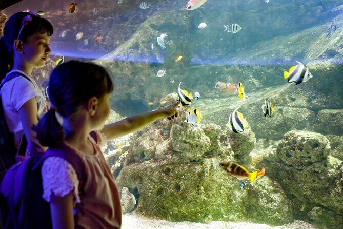 Barcelona City Tour Hop-On Hop-Off and Aquarium - Authentic Insights from Reviewers