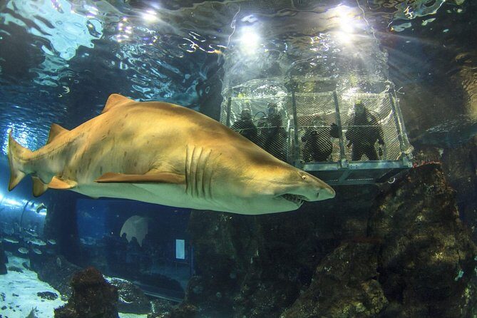 Barcelona City Tour Hop-On Hop-Off and Aquarium - The Sum Up
