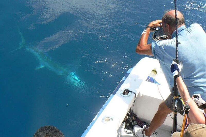 Barcelona: Coastal Fishing Trip - Key Points