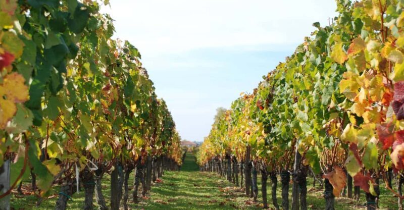 Barcelona: Coastline E-Bike and Wine Tasting Tour - Logistics and Practicalities
