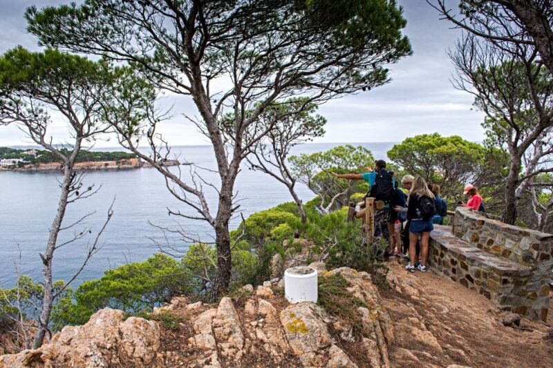 Barcelona: Costa Brava Hiking, Sea Kayaking & Lagoon Dipping - An Authentic Adventure in Costa Brava