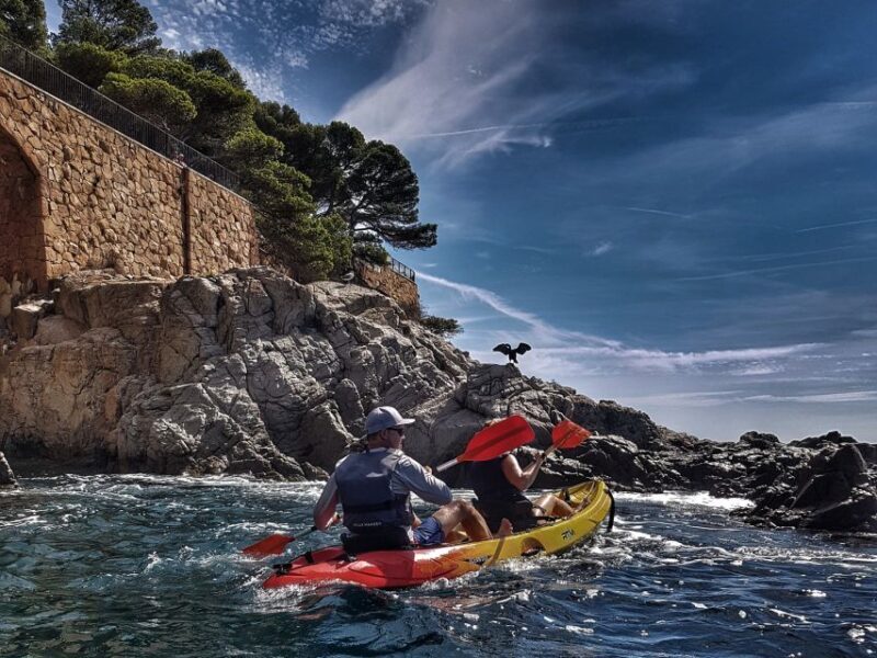 Barcelona: Costa Brava Hiking, Sea Kayaking & Lagoon Dipping - The Sum Up: Who Will Love This Tour?