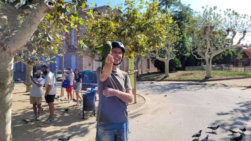 Barcelona: e-scooter and Bike tour - Who Will Love This Tour?