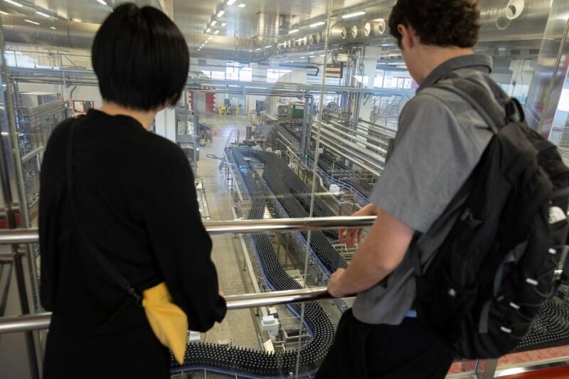 Barcelona: Estrella Damm Brewery Guided Tour with Tasting - A Guide to the Estrella Damm Brewery Tour in Barcelona