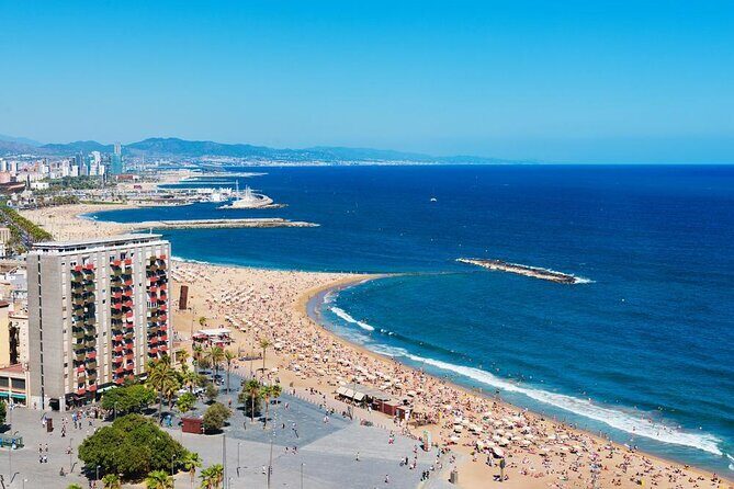 Barcelona Evening Small Group Bike Tour with Cava | with Private Option - Key Points: