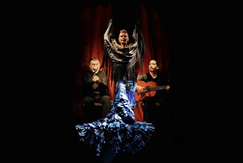 Barcelona: Flamenco Premium Show and Tour Guitar Museum - An In-Depth Look at the Experience