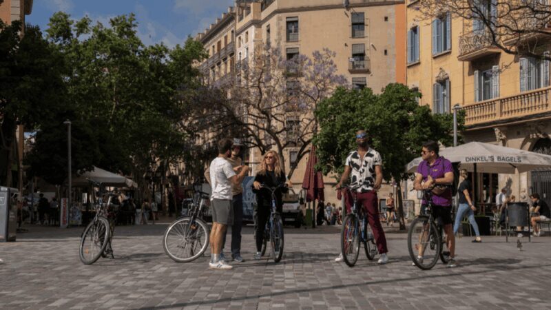 Barcelona: Gaudí Masterpieces & Hidden Gems E-Bike Tour - Who Will Love This Tour?