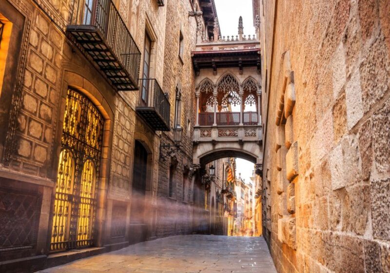 Barcelona Gothic Quarter Private Walking Tour - Overview of the Tour Experience