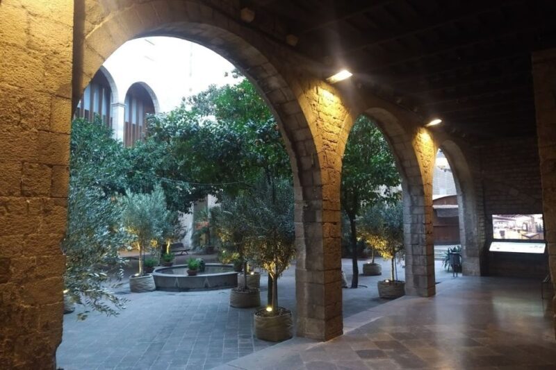 Barcelona: Gothic Quarter Walking Tour with Optional Pintxos - Insights from Reviews