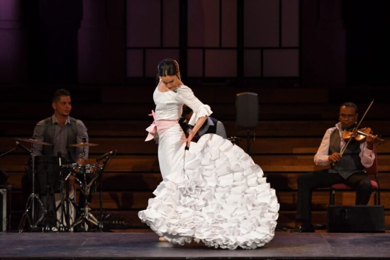 Barcelona: Gran Gala Flamenco Show Entry Ticket - A Deep Dive into the Flamenco Experience