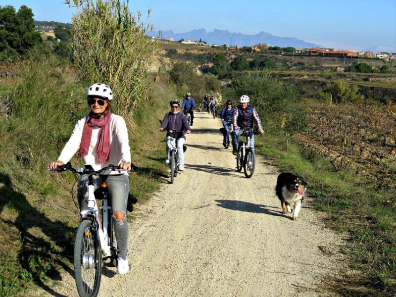 Barcelona: Guided Half-Day Wine and Electric Bike Tour - Why This Tour Works