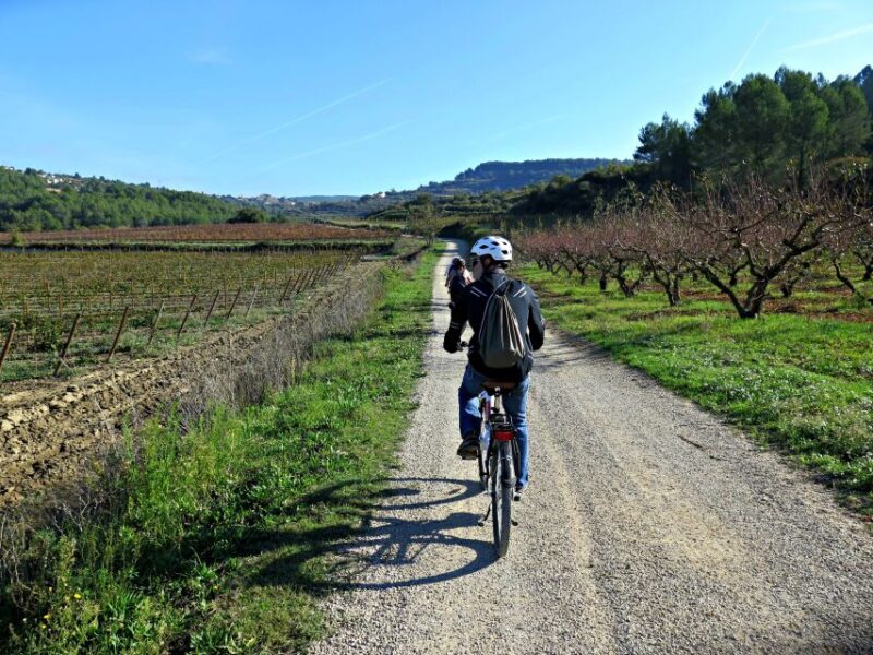 Barcelona: Guided Half-Day Wine and Electric Bike Tour - FAQ