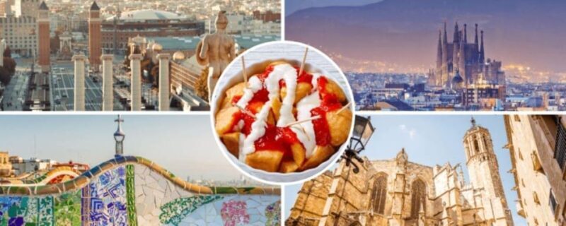 Barcelona: Half-Day Private Tour with Driver - Key Points