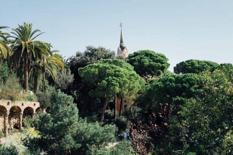 Barcelona: Half-Day Private Tour with Driver - Exploring the Tour in Depth