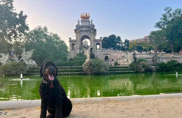 Barcelona: Hidden Gems Walking Tour with a Local & Dog - FAQs
