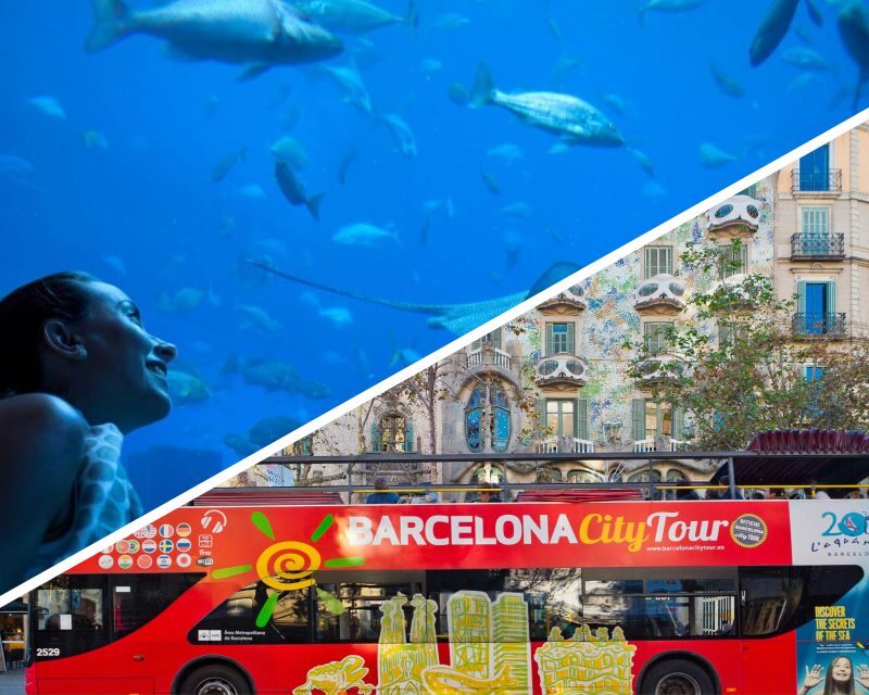 Barcelona: Hop-On Hop-Off Bus & Aquarium Tour - An In-Depth Review of the Barcelona Hop-On Hop-Off & Aquarium Tour