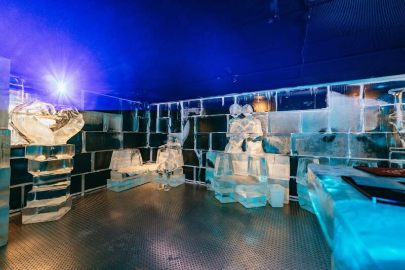 Barcelona: Ice Bar Experience Entry Ticket with 1 Drink - Who Will Love This?