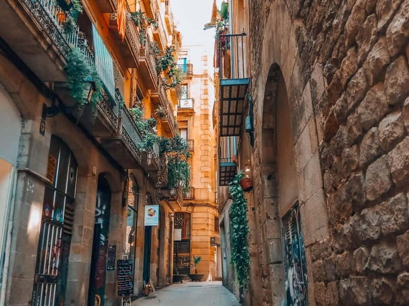 Barcelona: Introduction to the Gothic Quarter Walking Tour - Practical Details: What You Should Know