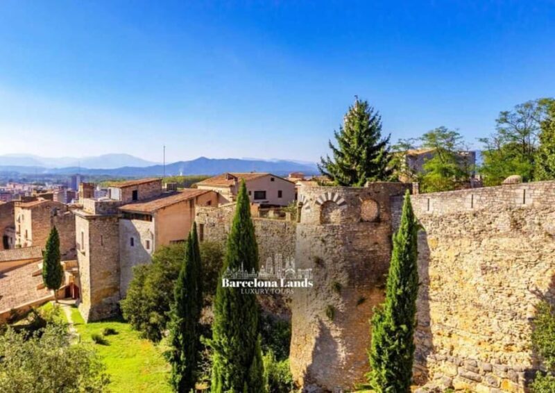 Barcelona: Luxury Dalí y Girona Tour - The Experience: What We Found Most Valuable