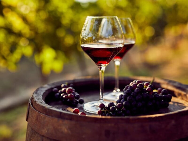 Barcelona: Luxury Tour, Buggy Route, Lunch & Penedes Wines - Key Points