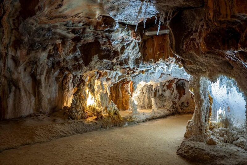 Barcelona: Monserrat, Castle and Salt Private Tour - Key Points
